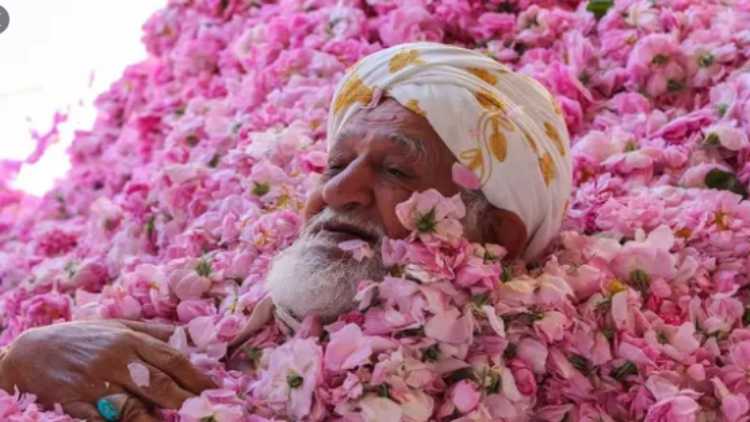 Ramazan is harvest time in Saudi's Rose City