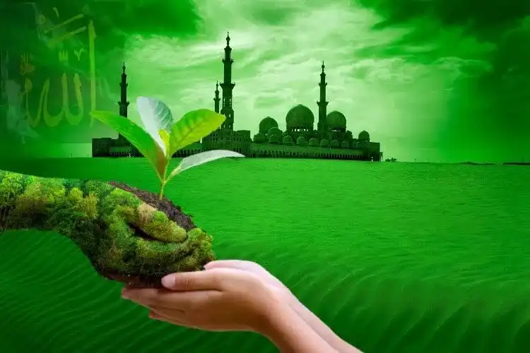 Islam's edict on conservation can save environment