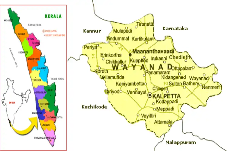 African swine flu: 190 pigs culled in Kerala's Wayanad