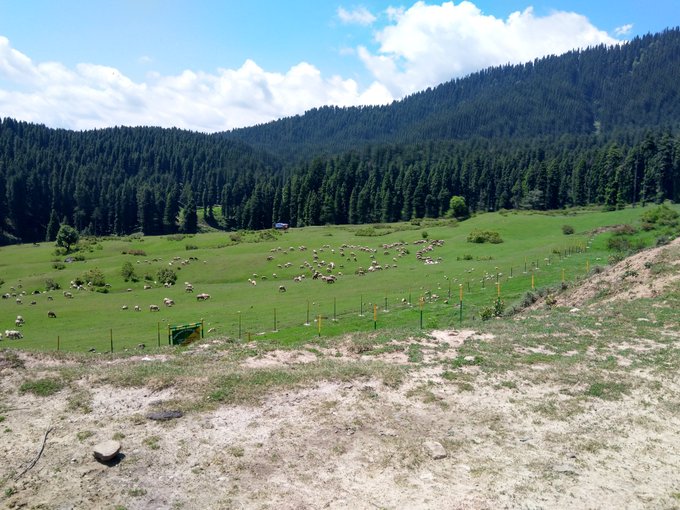 Tosa Maidan: Kashmir meadow to become adventure tourism hub