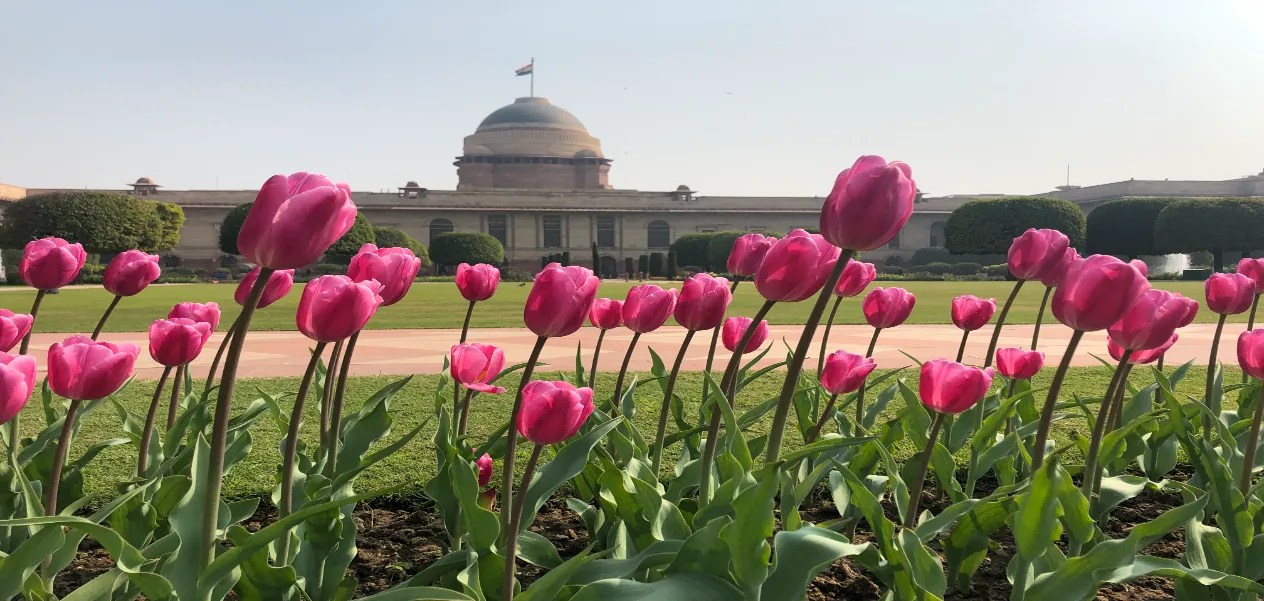Mughal Gardens will now be known as 'Amrit Udyan'