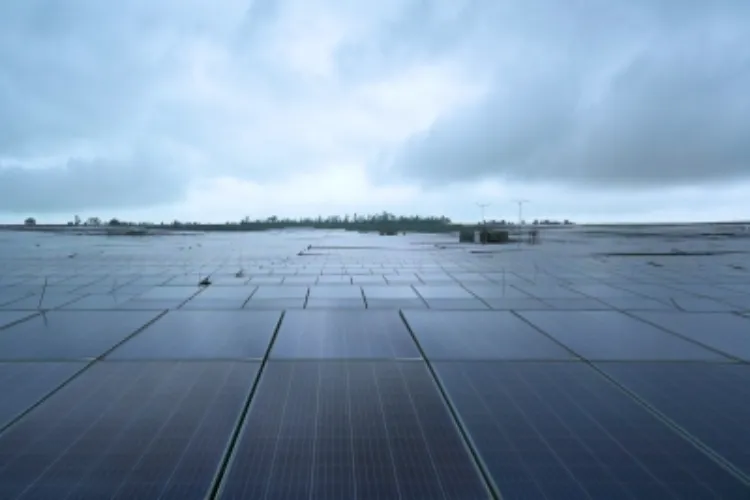 India's economy 10% more energy efficient than G20 average: IEA