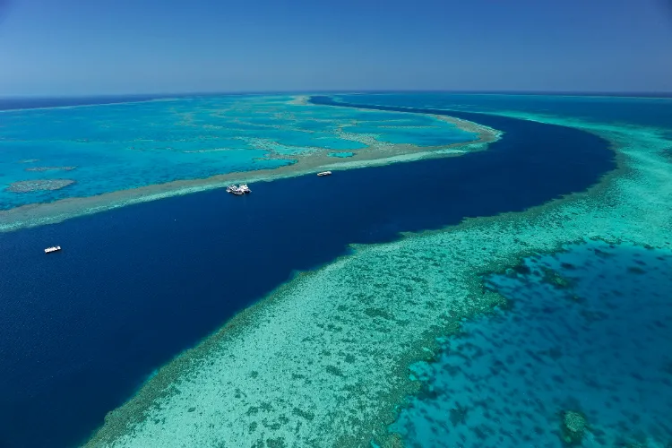 Great Barrier Reef faces irreversible impacts of climate change