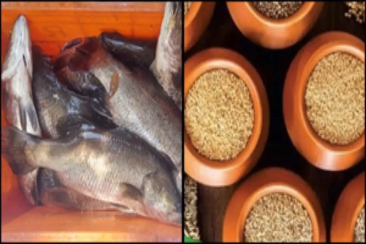 Millet -fish combo: highly prospective as a wholesome and nutritional diet