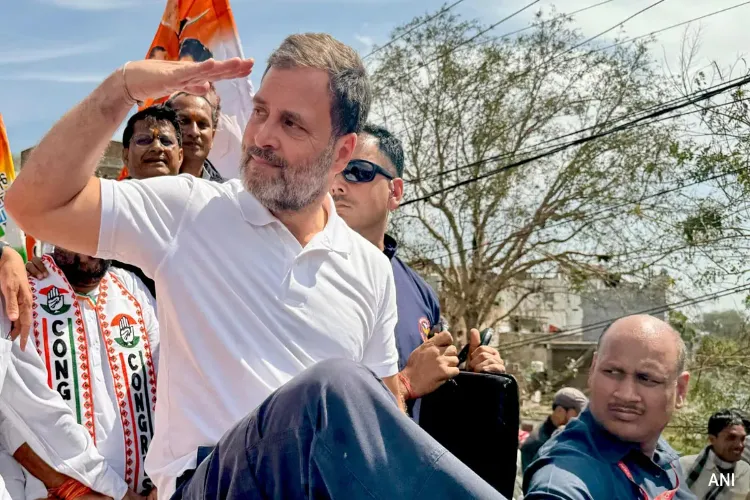 Rahul Gandhi to again contest from Wayanad