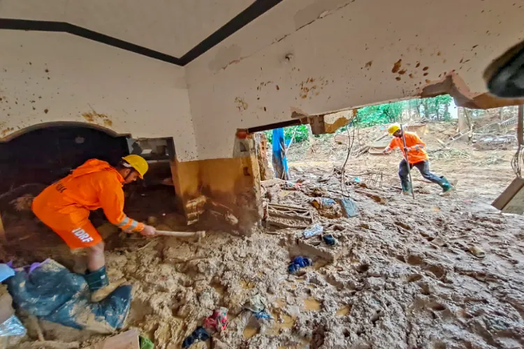 Wayanad landslides: Rescue operations enter 7th day, death toll at 308