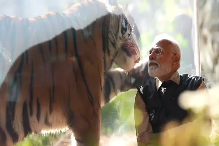 PM Modi visits Gujarat's Vantara wildlife rescue and conservation centre