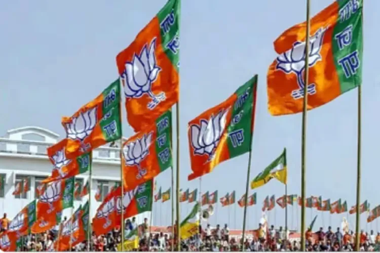 BJP leaders arrive in big convoys despite PM's austerity appeal
